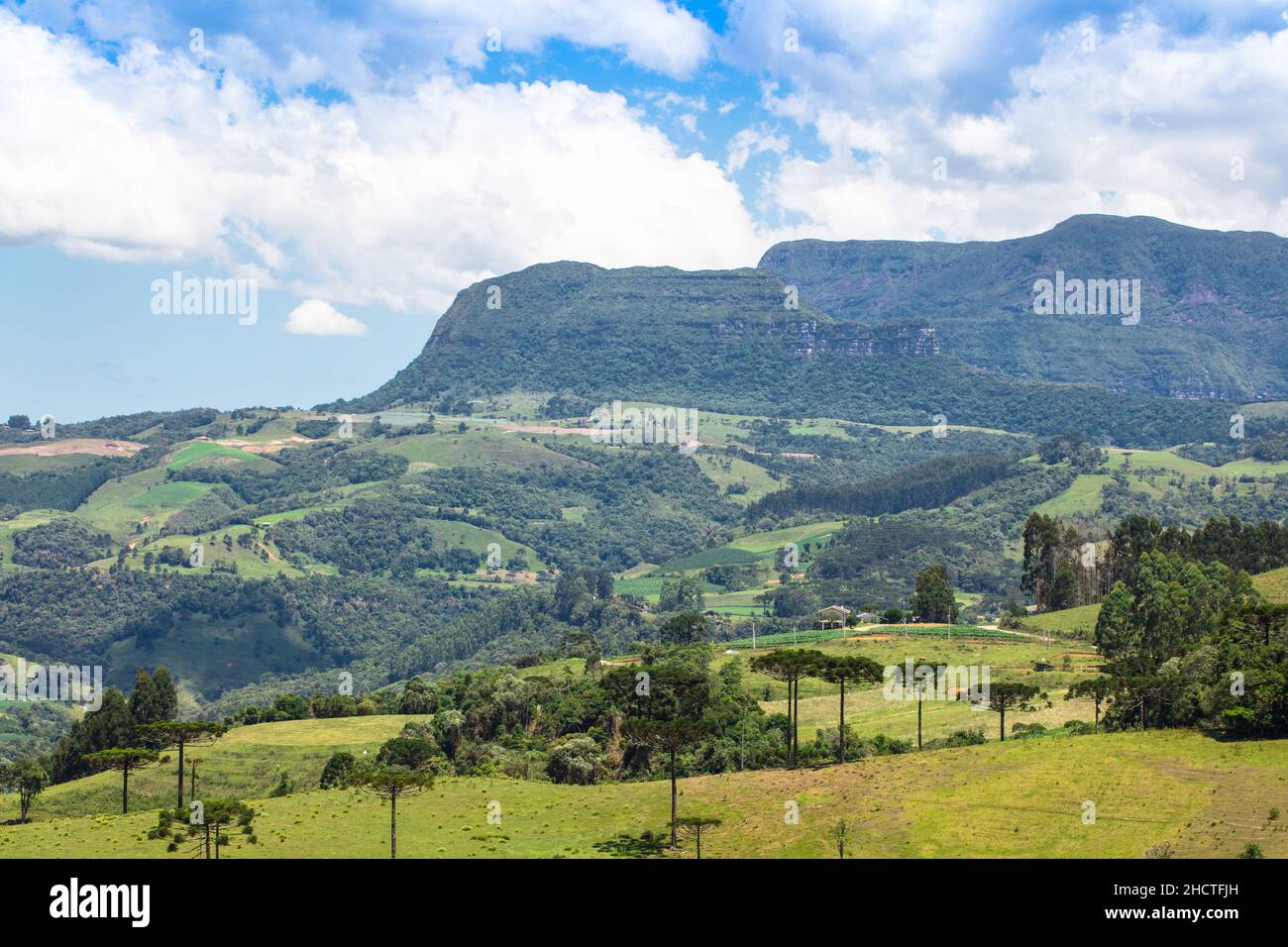 Rural landscape in southern Brazil Stock Photo - Alamy