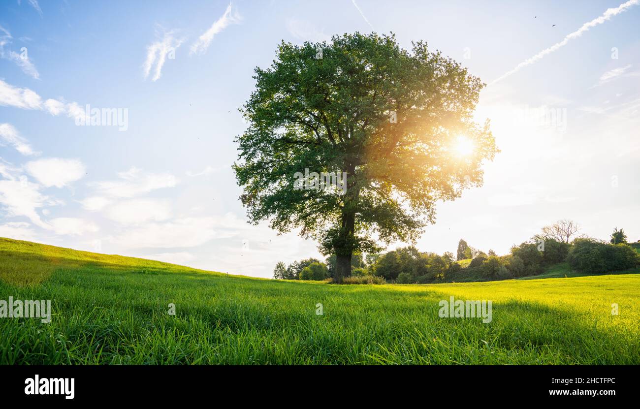 Horizontal driving pov hi-res stock photography and images - Alamy