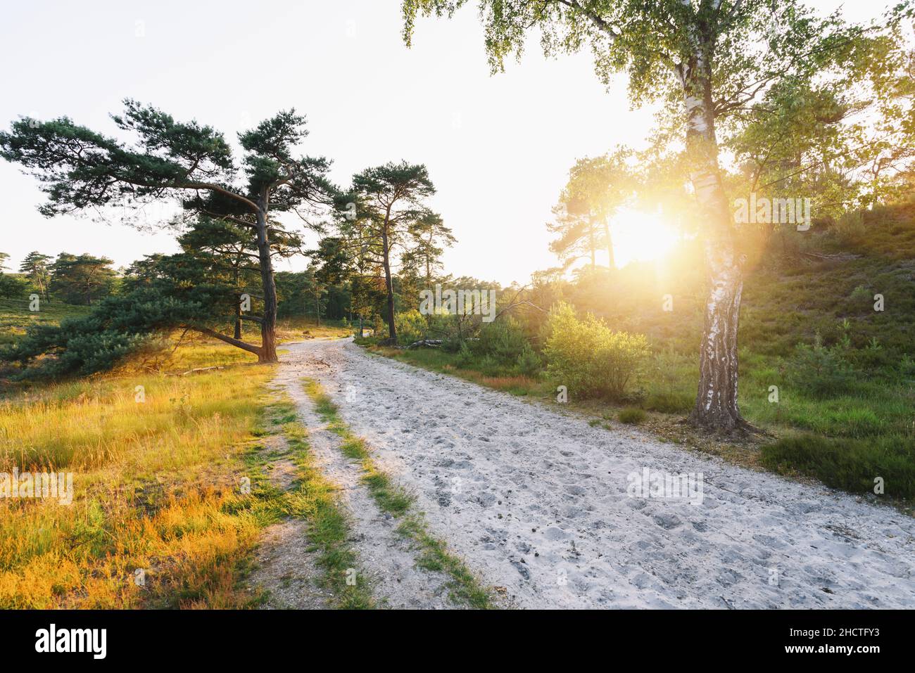 Park layouts hi-res stock photography and images - Alamy
