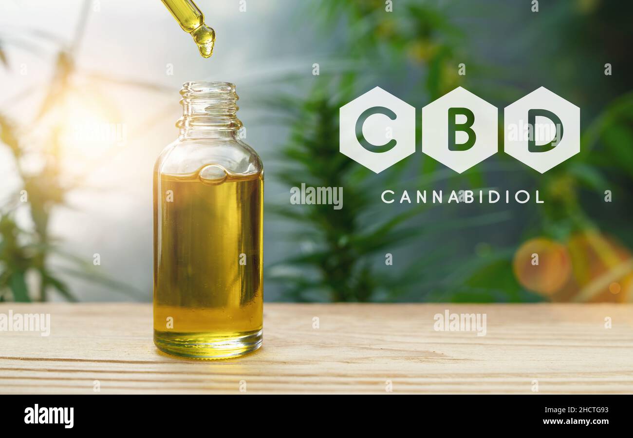 Cannabis extract production hi-res stock photography and images - Alamy
