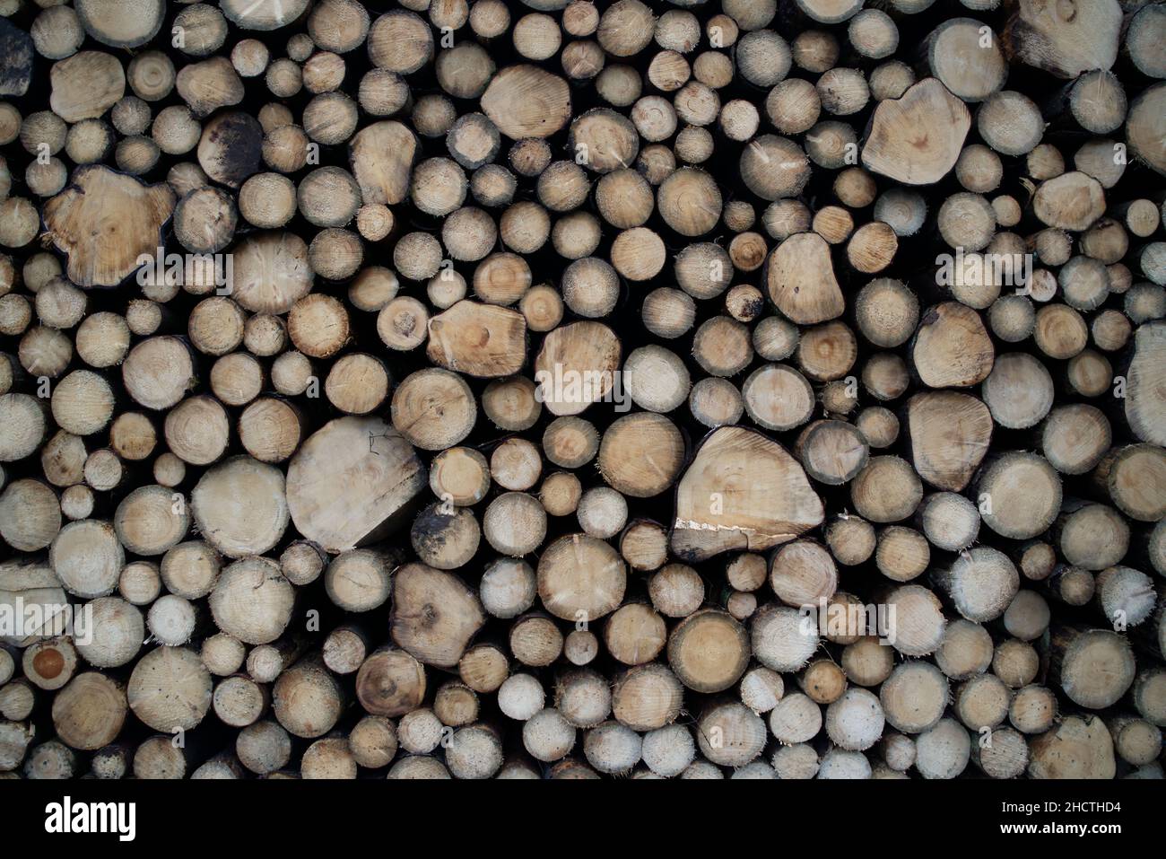 Stack of logs Stock Photo - Alamy