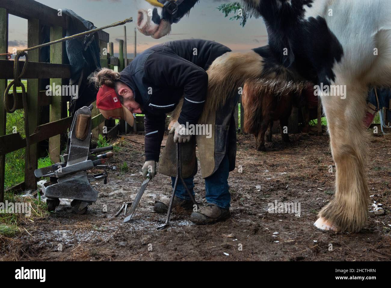 A mobile farrier shoes a horse in Oxfordshire.He has a gas forge etc in ...