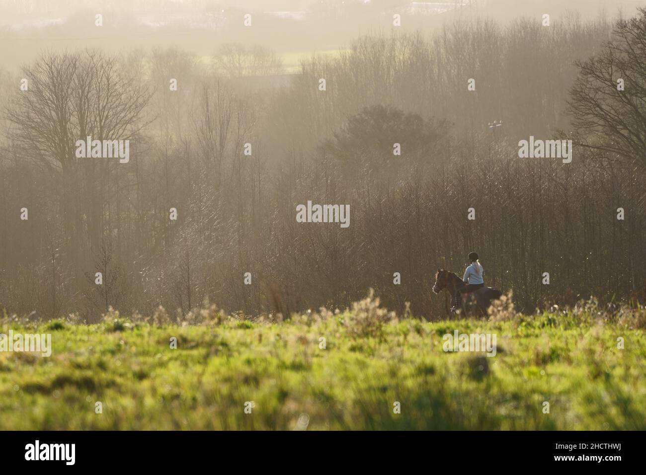 Cutacre Country Park near Bolton, Greater Manchester Stock Photo - Alamy