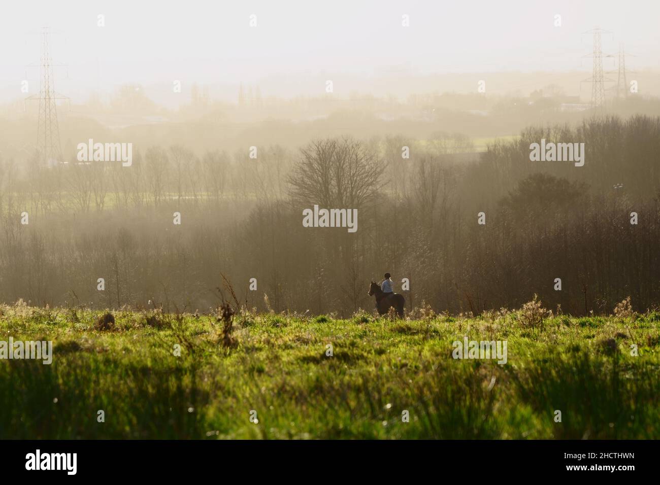 Cutacre Country Park near Bolton, Greater Manchester Stock Photo - Alamy