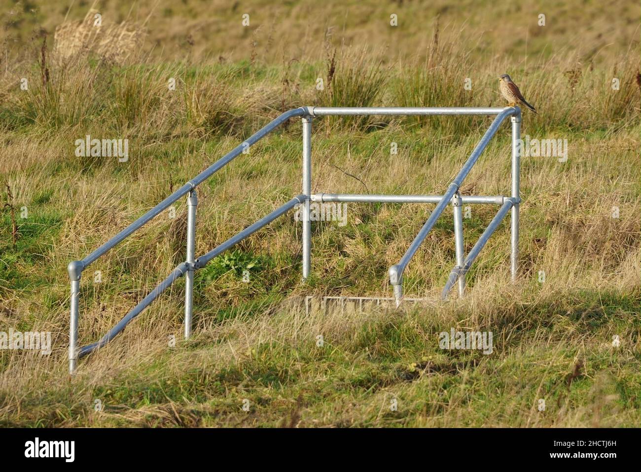 Cutacre Country Park near Bolton, Greater Manchester Stock Photo - Alamy