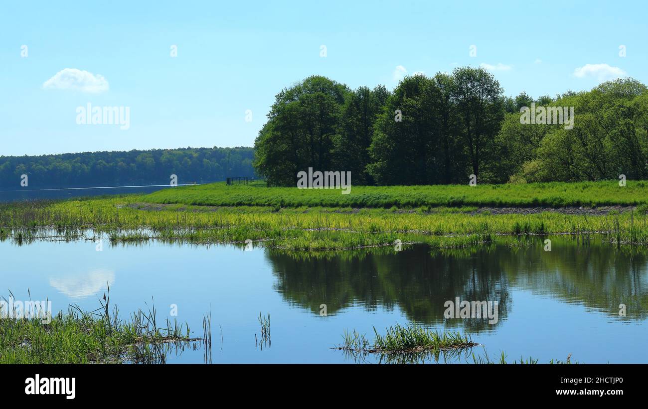 Green field with a clear calm lake or swamp captured on a spring ...