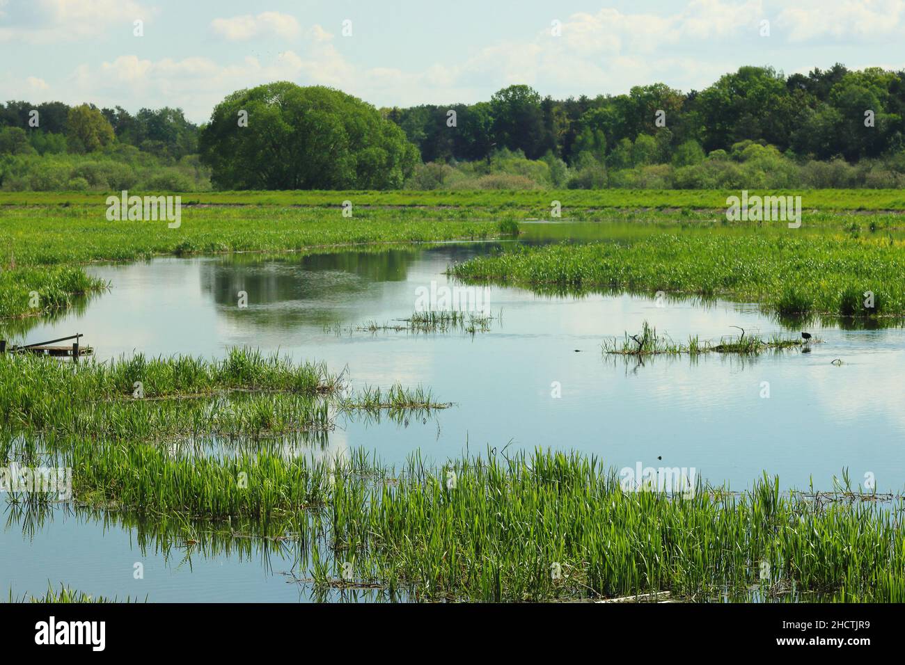 Green field with a clear calm lake or swamp captured on a spring ...