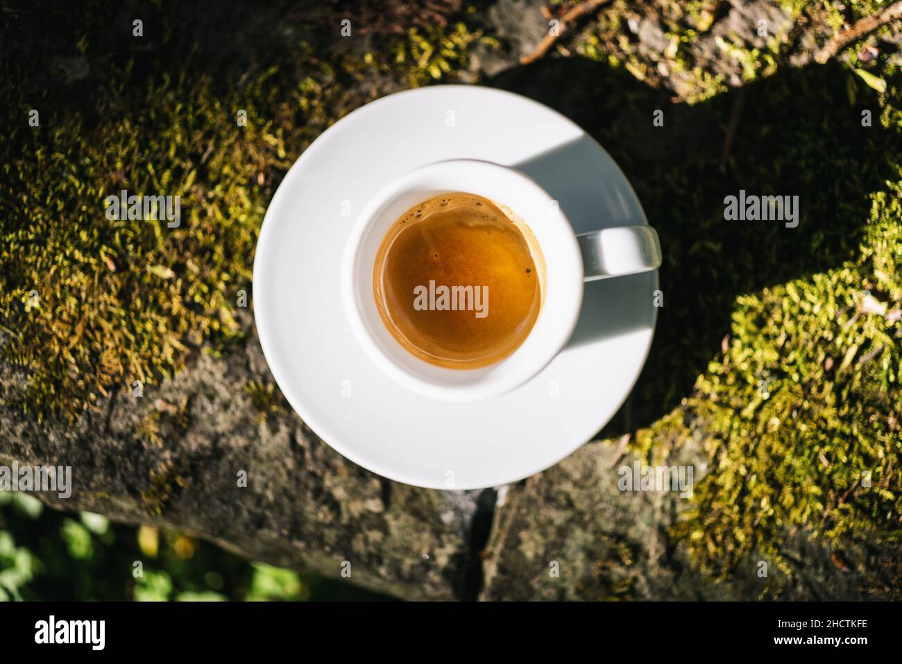 Cup of Espresso Macchiato. Symbolic image. Bright naturestone ...