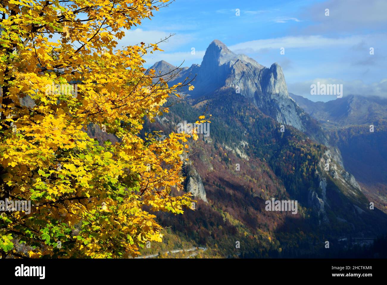 Friuli Venezia Giulia, Italy. Carnic Alps, view of mount Creta di Timau ...