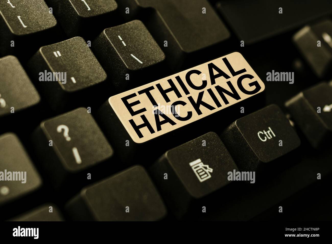 Conceptual caption Ethical Hacking. Business idea a legal attempt of ...