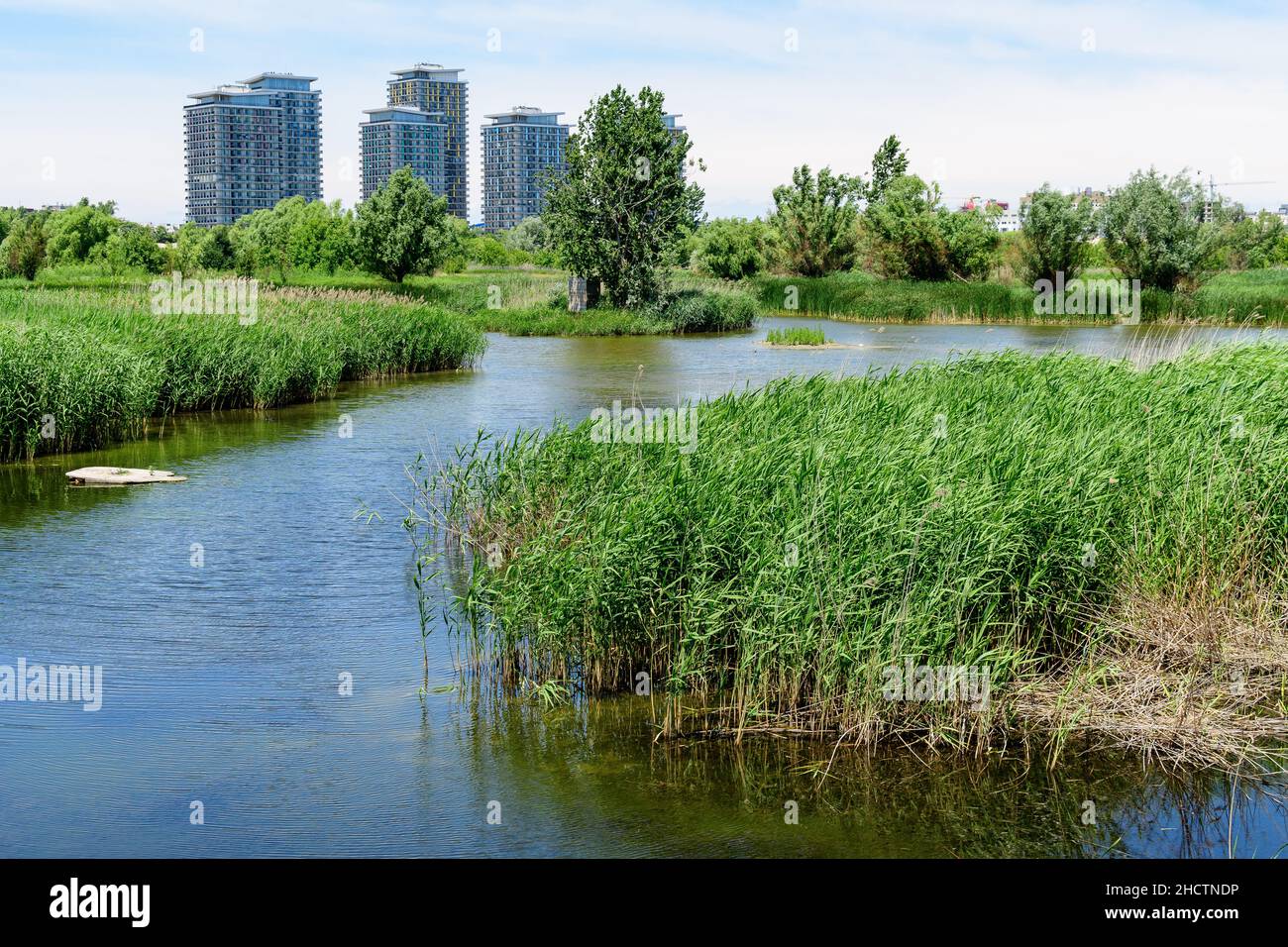 Summer landscape with clear water in lake, trees and birds in Delta ...