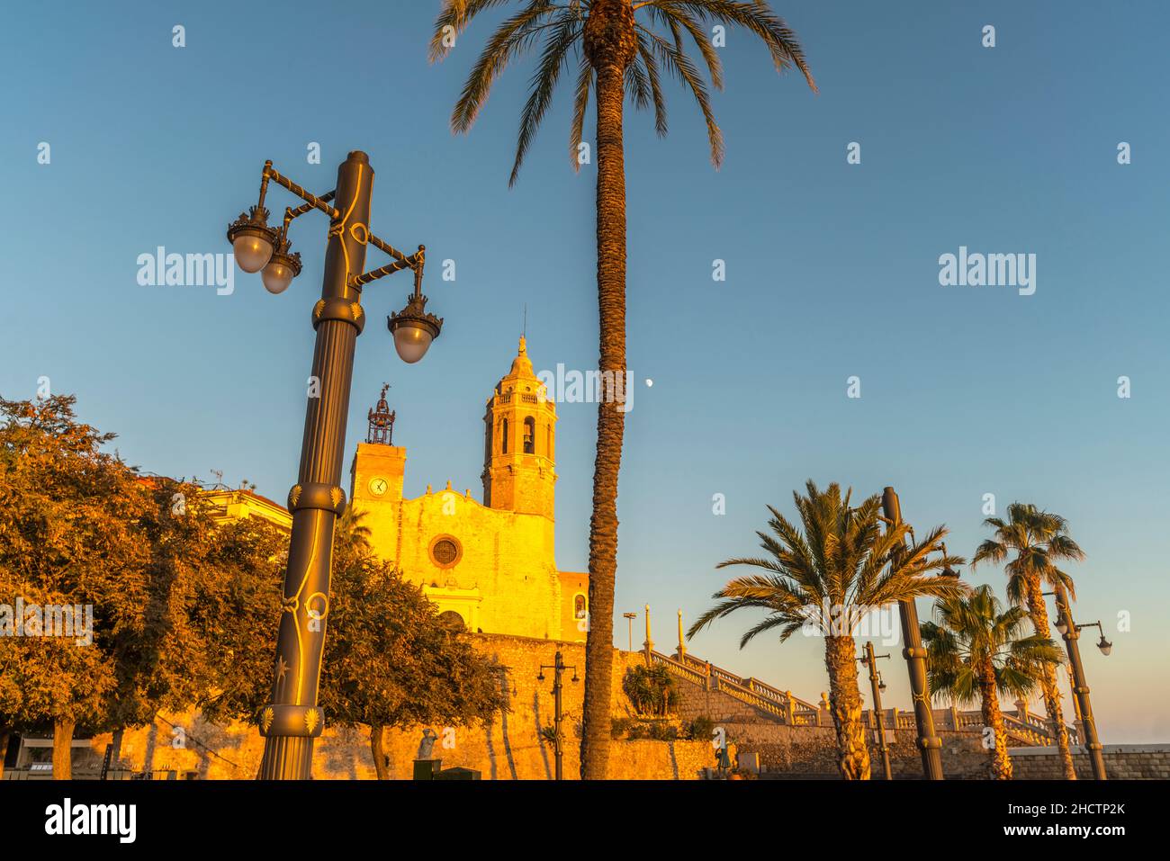 TALL PALM TREES SCULPTURE PARK WATERFRONT SANT BARTOMEU I SANTA TECLA ...