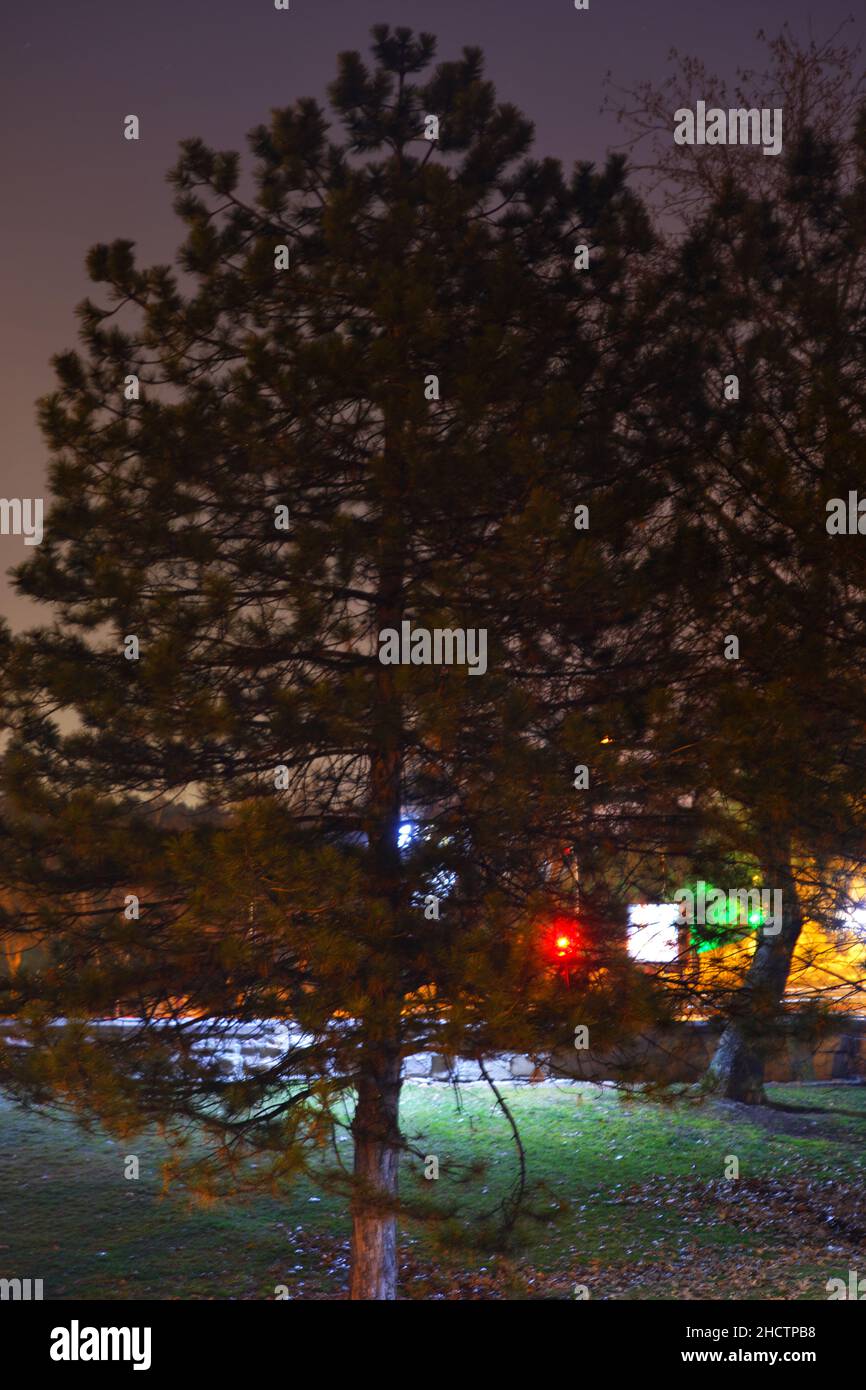 Tree grass hi-res stock photography and images - Alamy