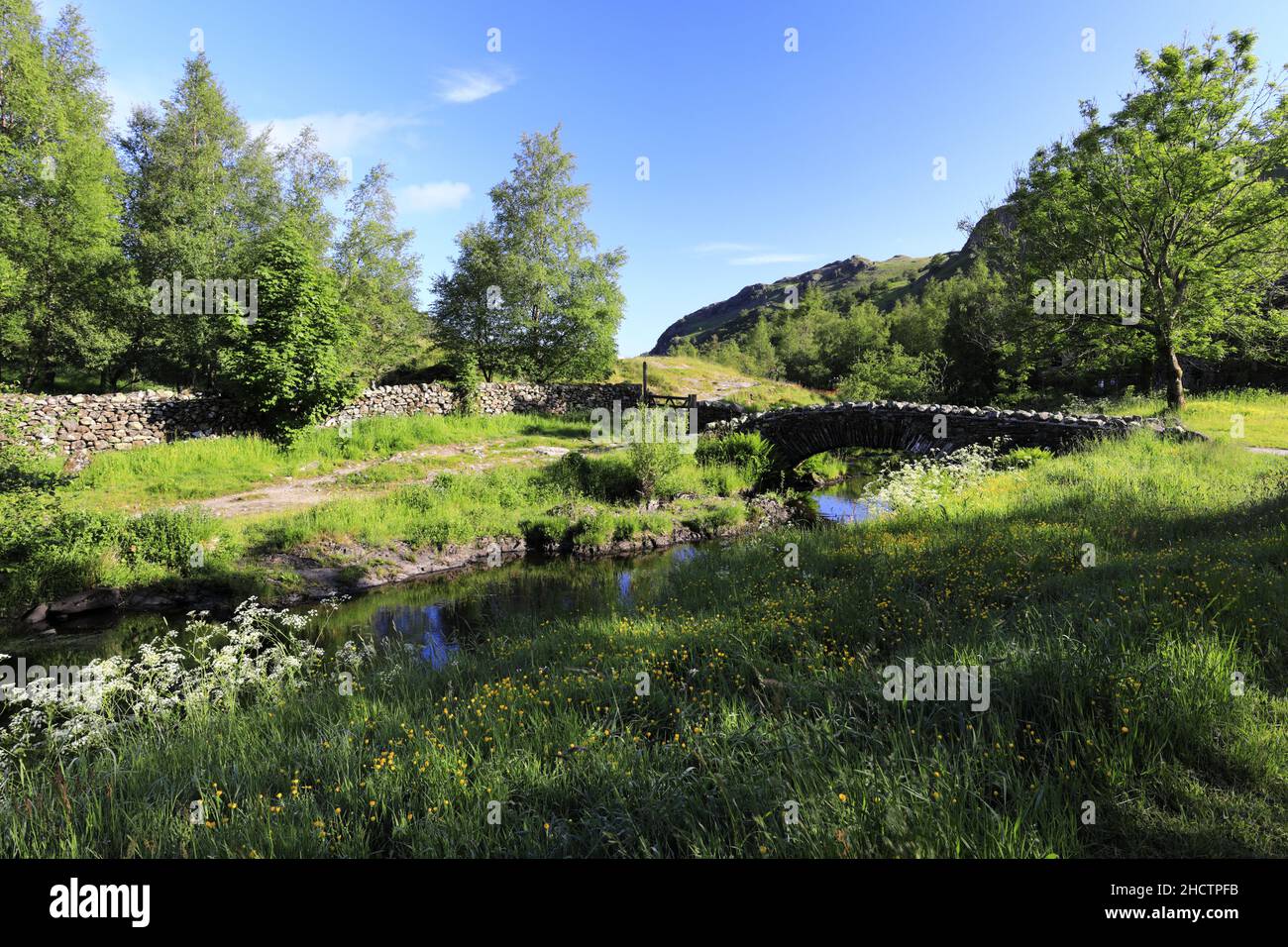Summer view over Watendlath Tarn, Lake District National Park, Cumbria ...