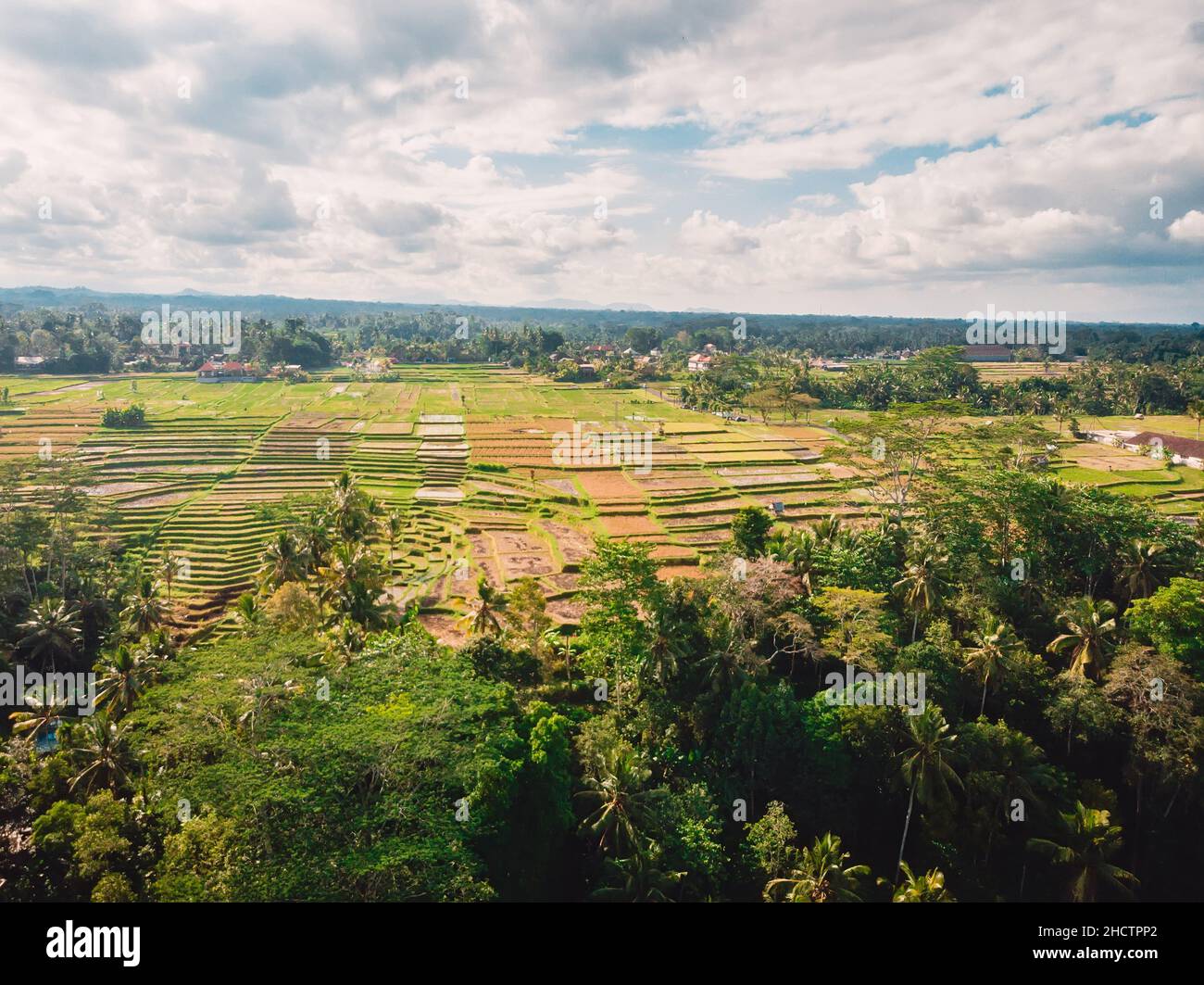 Aerial view of rice fields. Tropical landscape in Bali island Stock ...