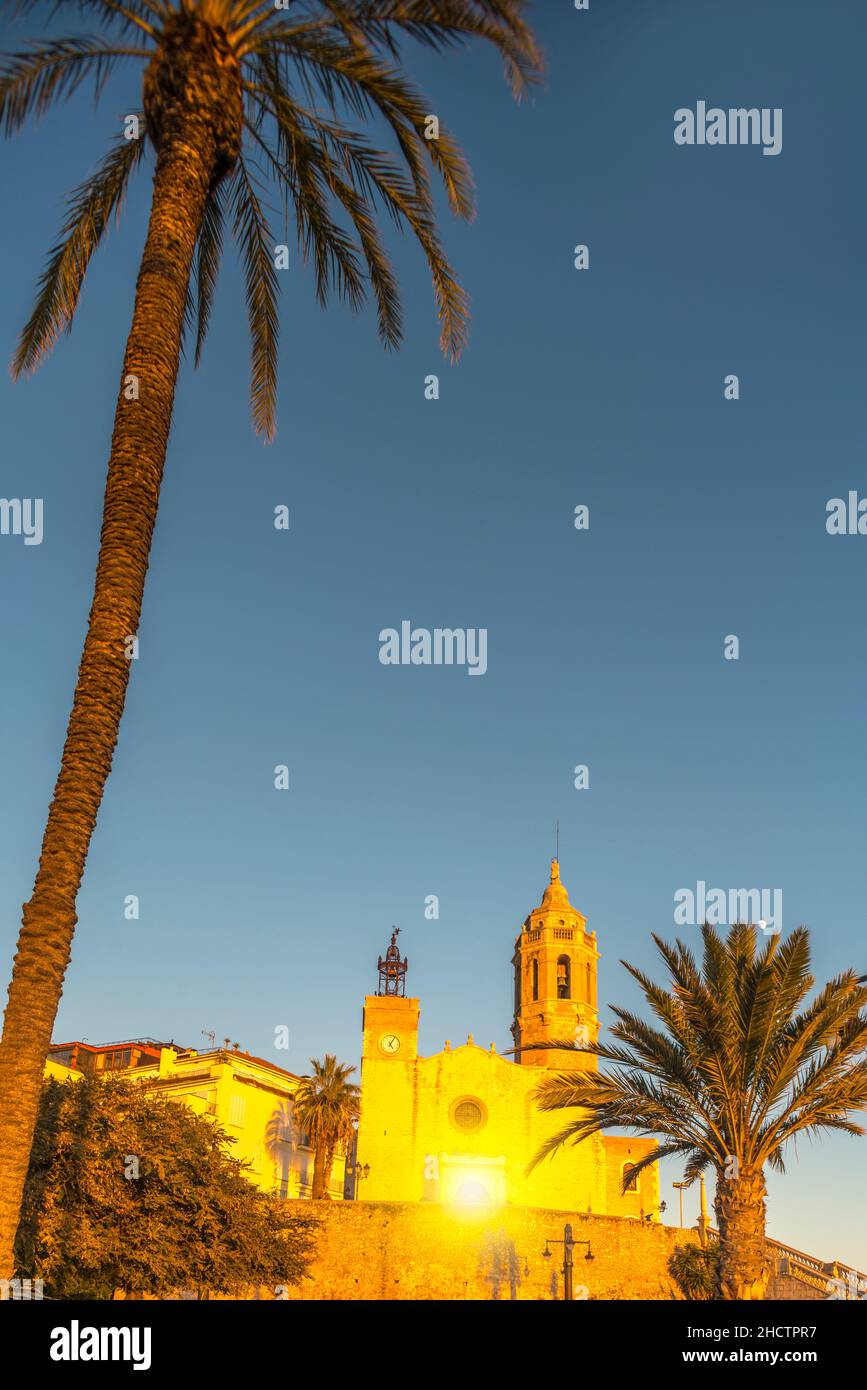 TALL PALM TREES SCULPTURE PARK WATERFRONT SANT BARTOMEU I SANTA TECLA ...