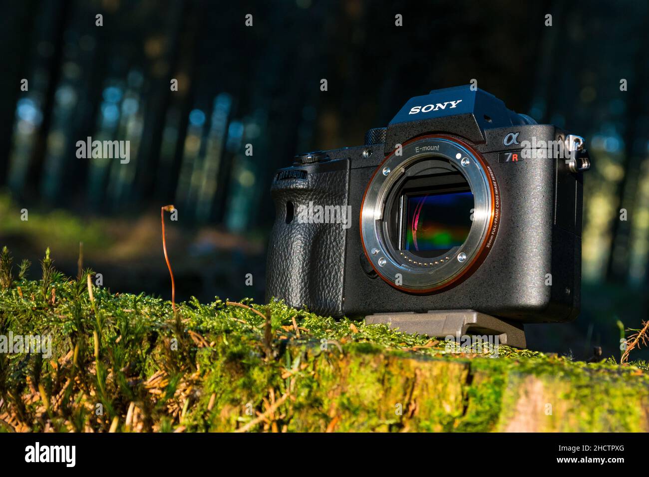 Image of Alpha a7R II Mirrorless Digital Camera with full-frame 42.4 ...