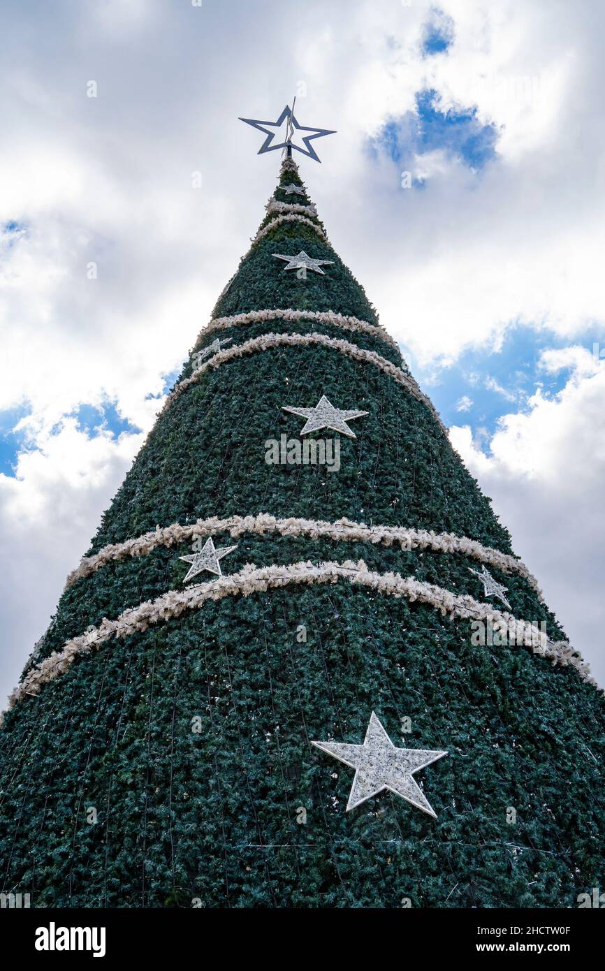 Fassuta, Israel - December 25th, 2021: The tall christmas tree in the ...