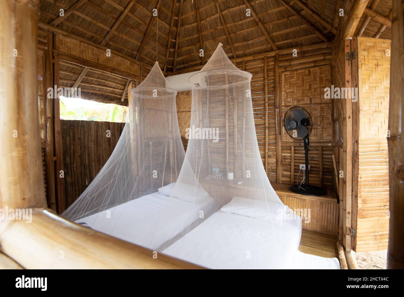 Mosquito nets hanging over the beds and a fan in a wooden bungalow ...