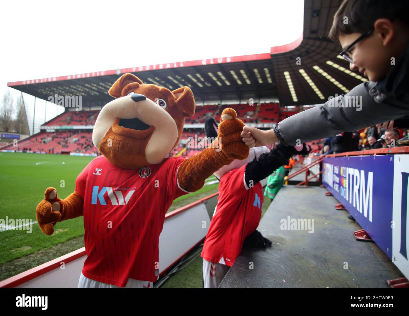 Charlton Athletic mascot Floyd (left) and Harvey meet with fans before ...