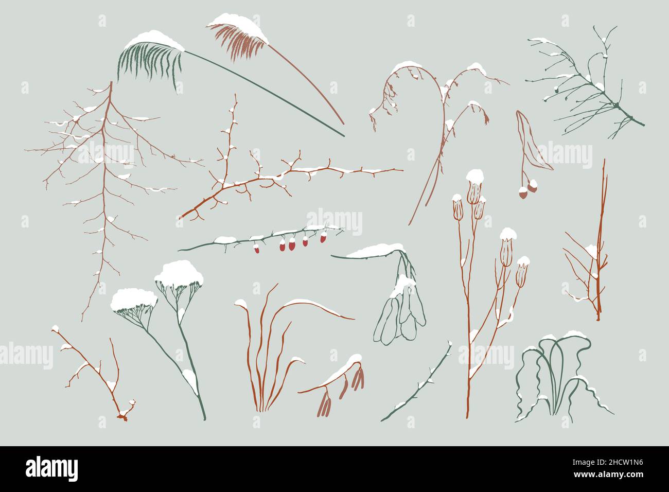 Set of modern abstract botanical line drawings and plant silhouettes ...