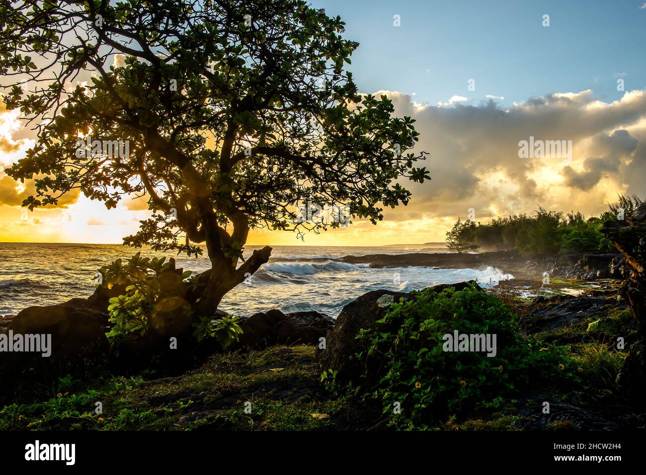 Hawaii landscapes hi-res stock photography and images - Alamy