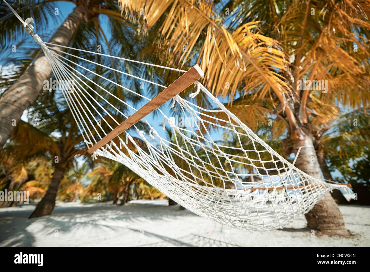 Hanging between two palm trees hi-res stock photography and images - Alamy
