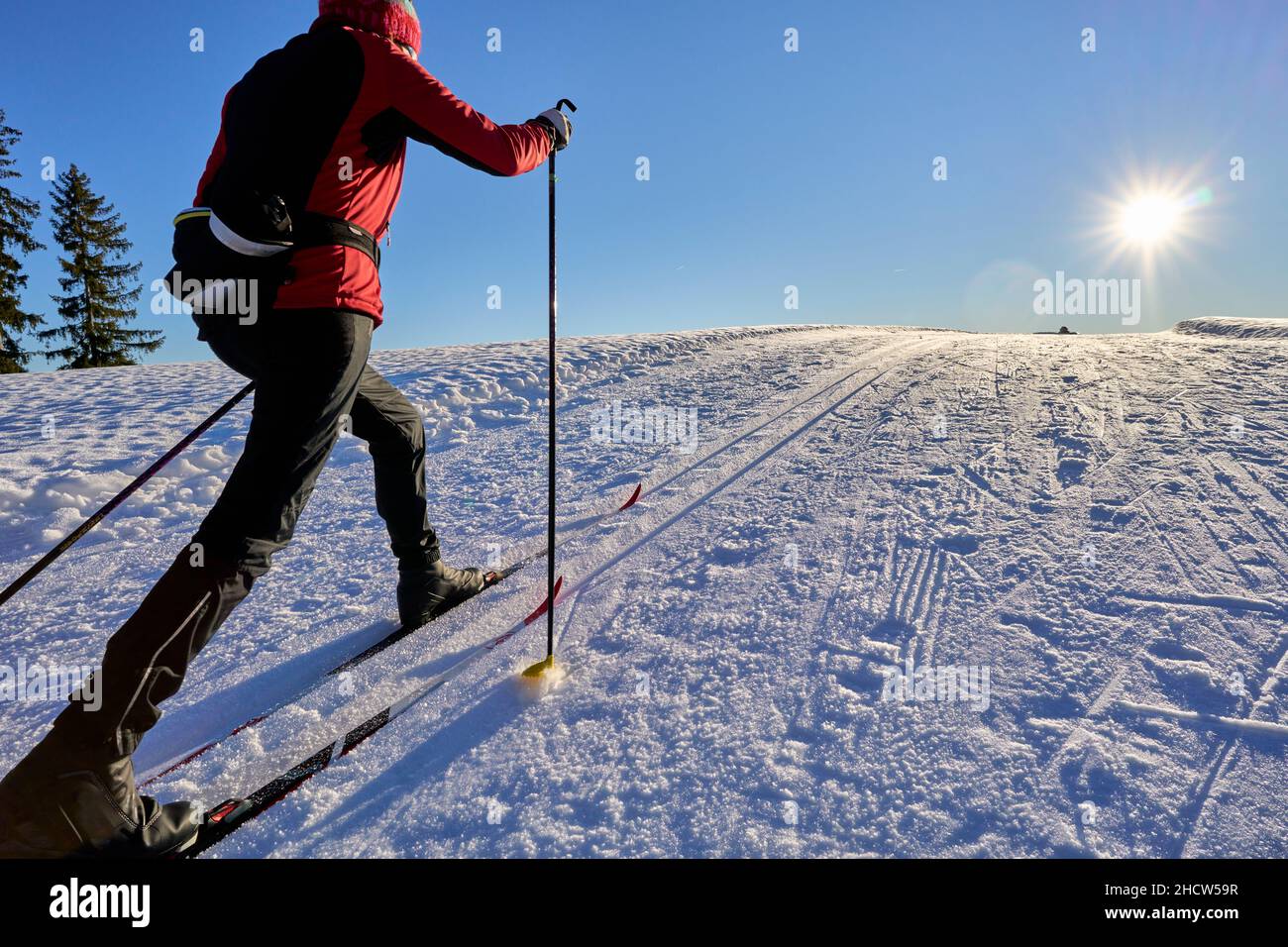 active woman, cross-country skiing in the Bregenz Forest Mountains near ...