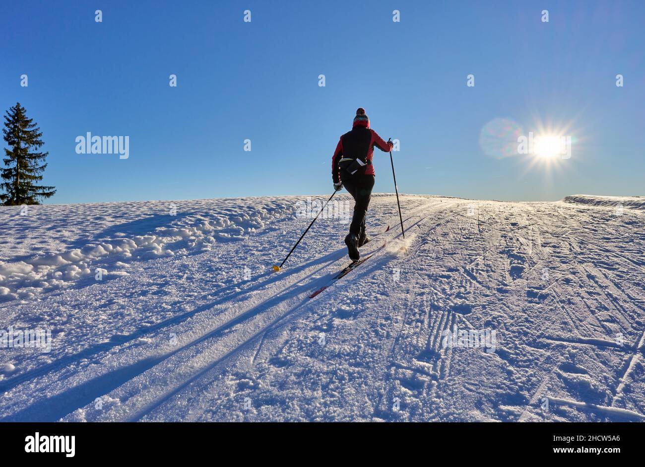active woman, cross-country skiing in the Bregenz Forest Mountains near ...