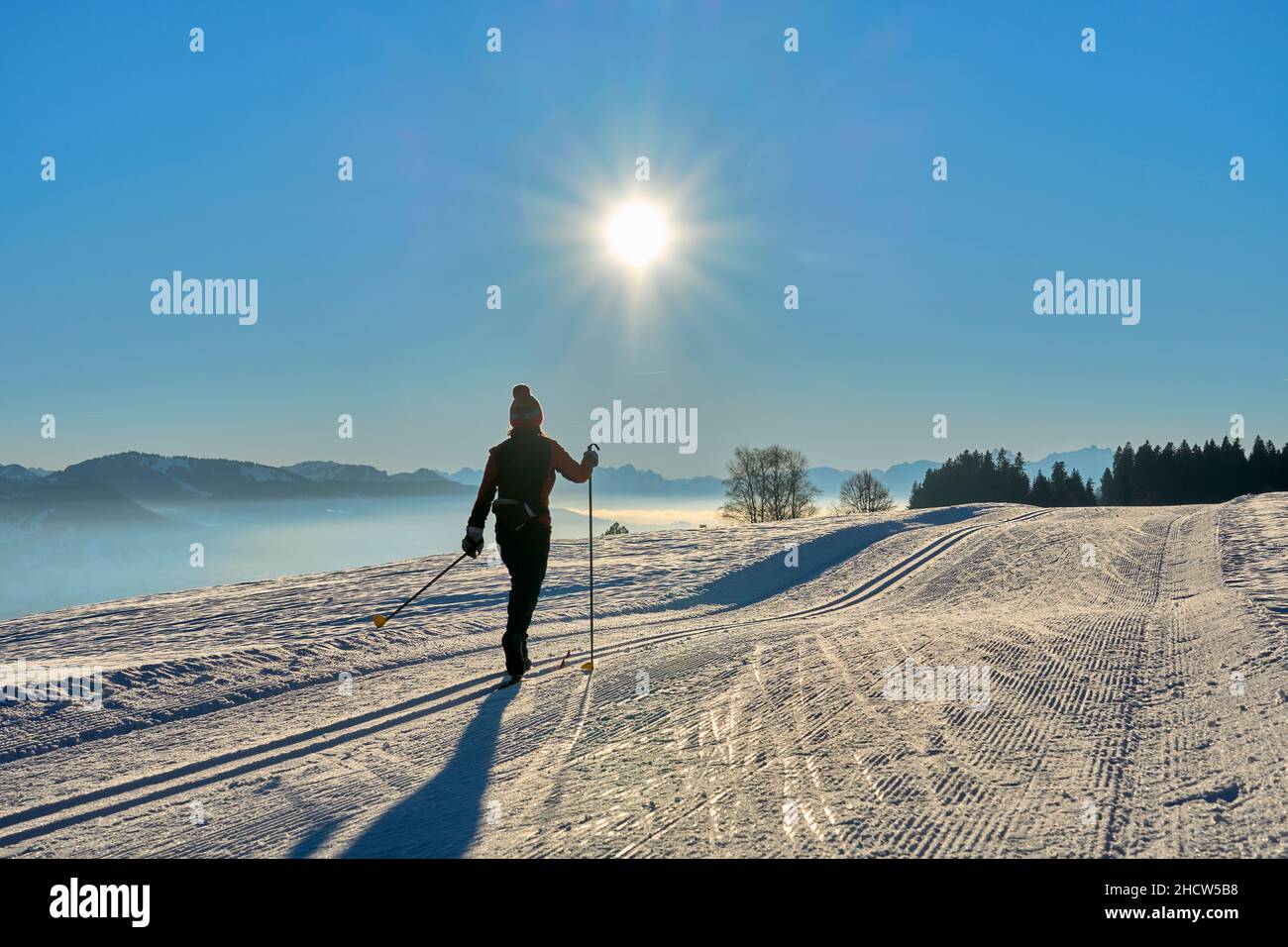 active woman, cross-country skiing in the Bregenz Forest Mountains near ...