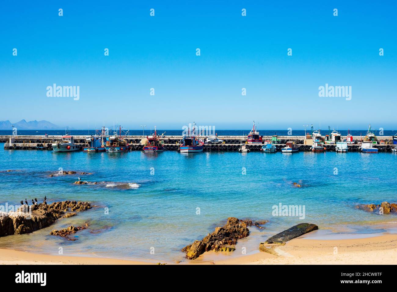 Cape Town, South Africa - March 23, 2021: Fishing Harbour and sea birds ...