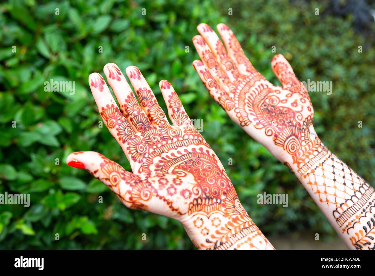 Woman's or bride's hands decorated in mehndi, a form of body art and ...