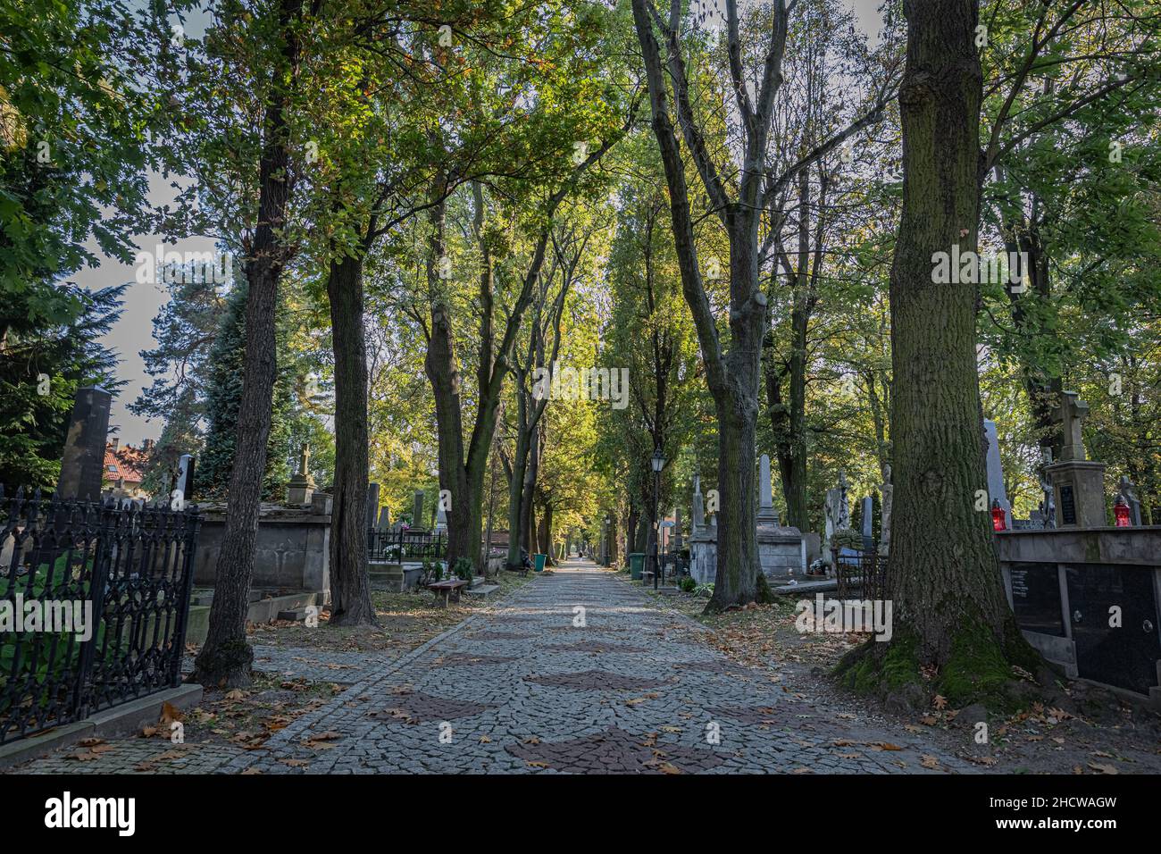 TARNOW, POLAND - OCTOBER 09, 2021: Polish city in Malopolska often ...