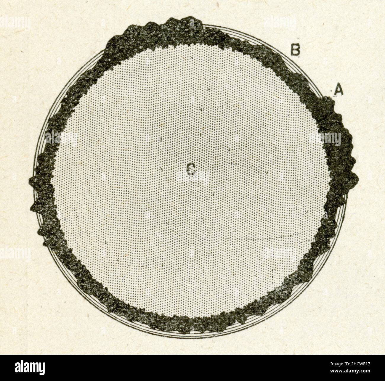 A, croûte terrestre; B,Océan; C,Intérieur de la Terre en fusion Stock ...