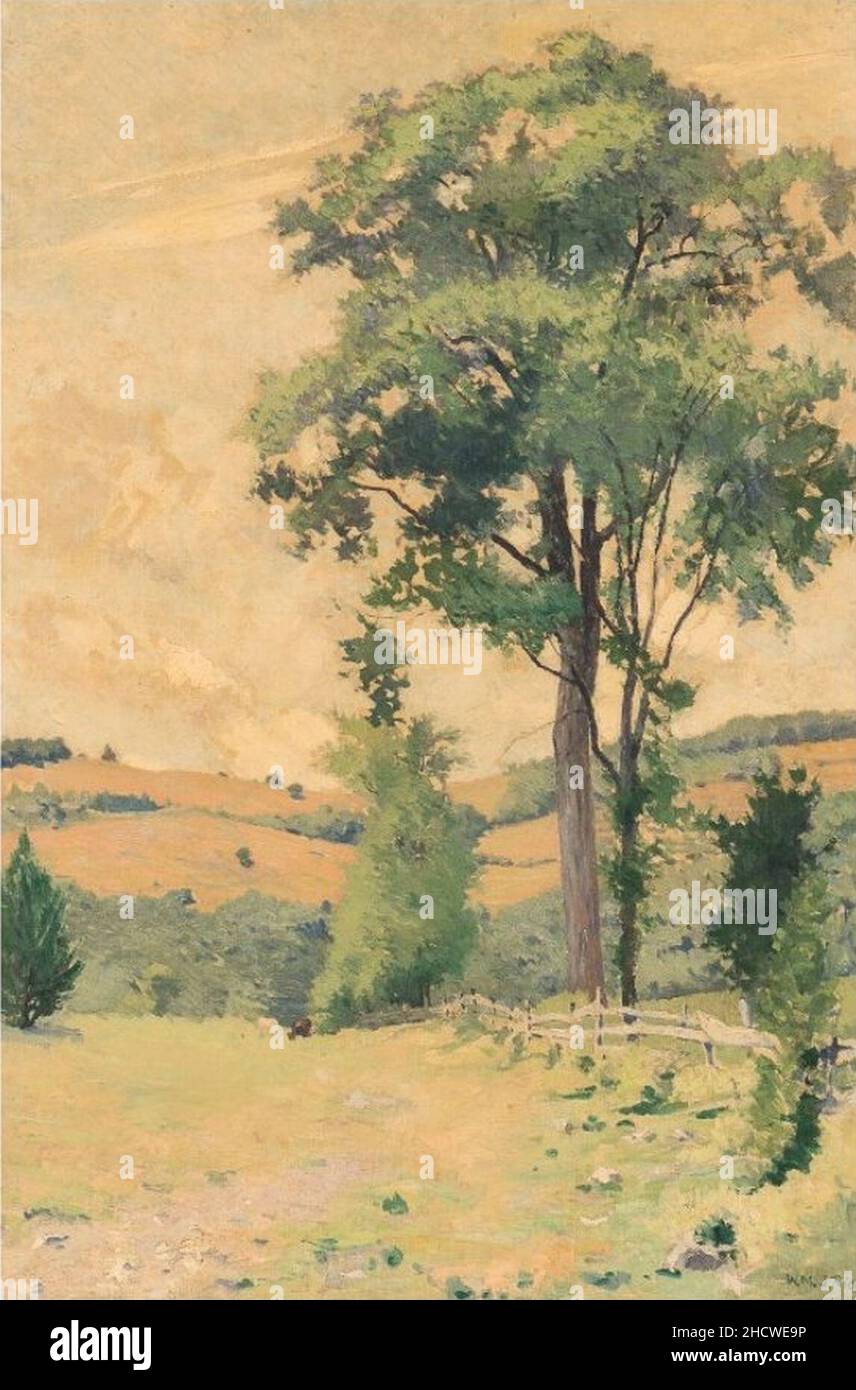 Jackson rice hi-res stock photography and images - Alamy