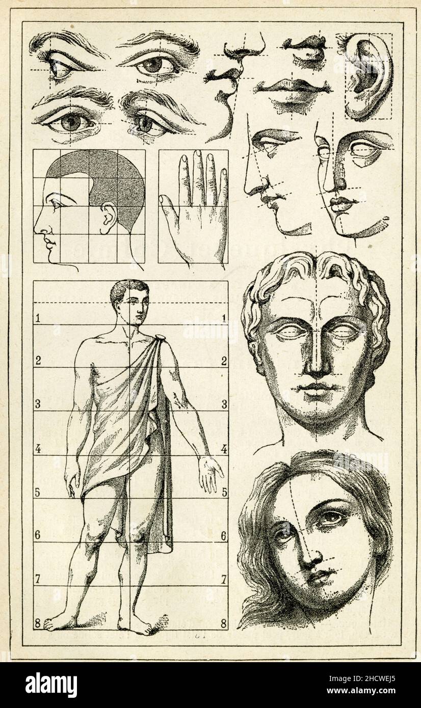 Dessin main hi-res stock photography and images - Alamy