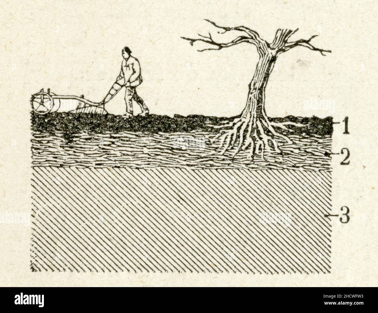 Terre arable hi-res stock photography and images - Alamy