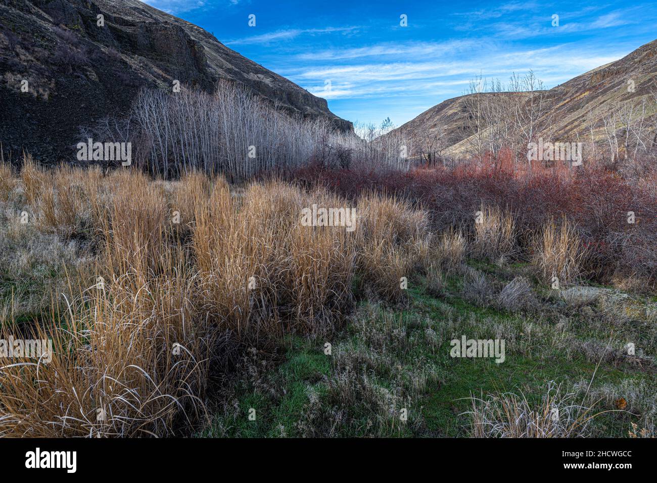 Along the Umtanum Creek Trail, WA Stock Photo - Alamy
