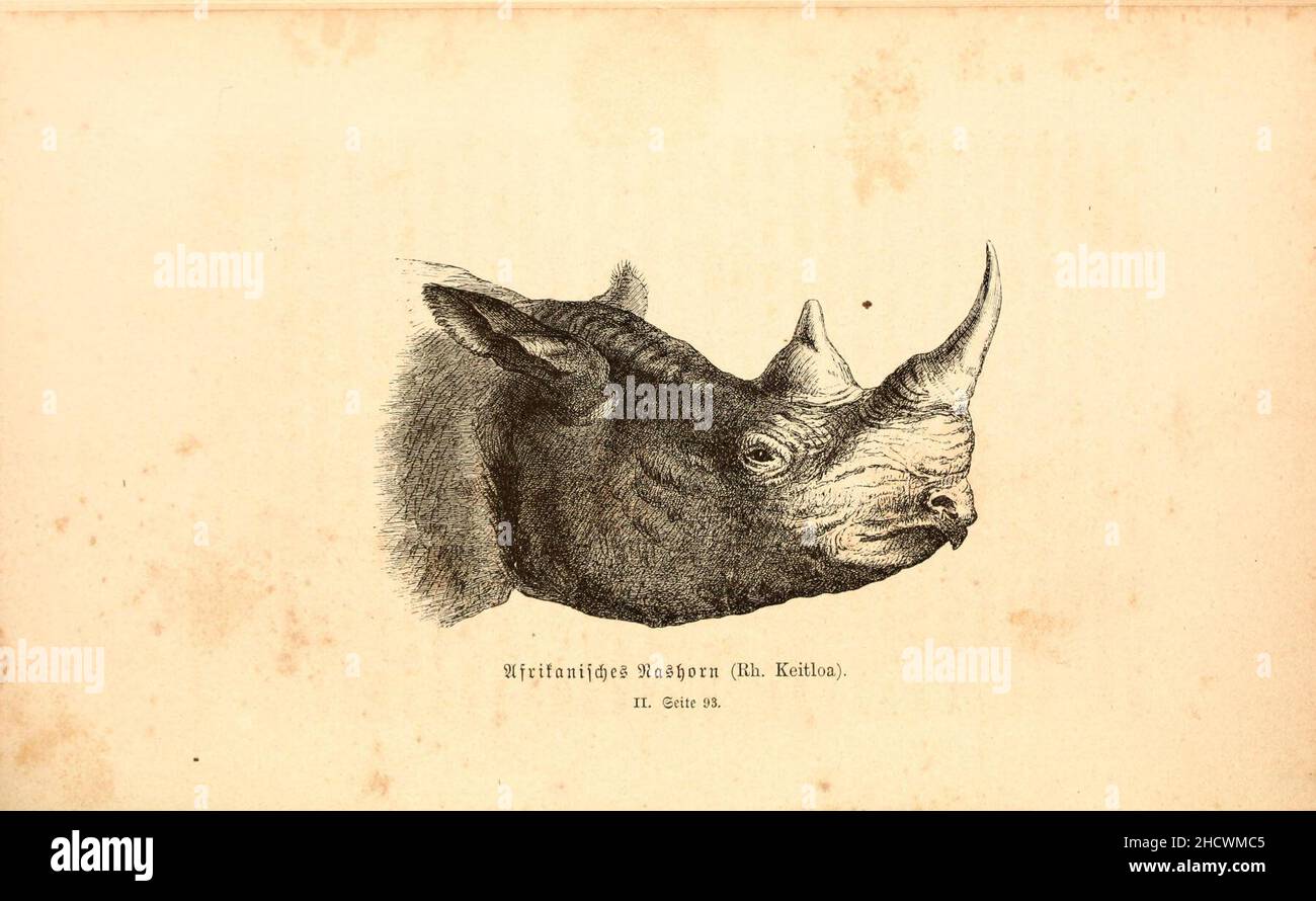 Afrika nord hi-res stock photography and images - Alamy