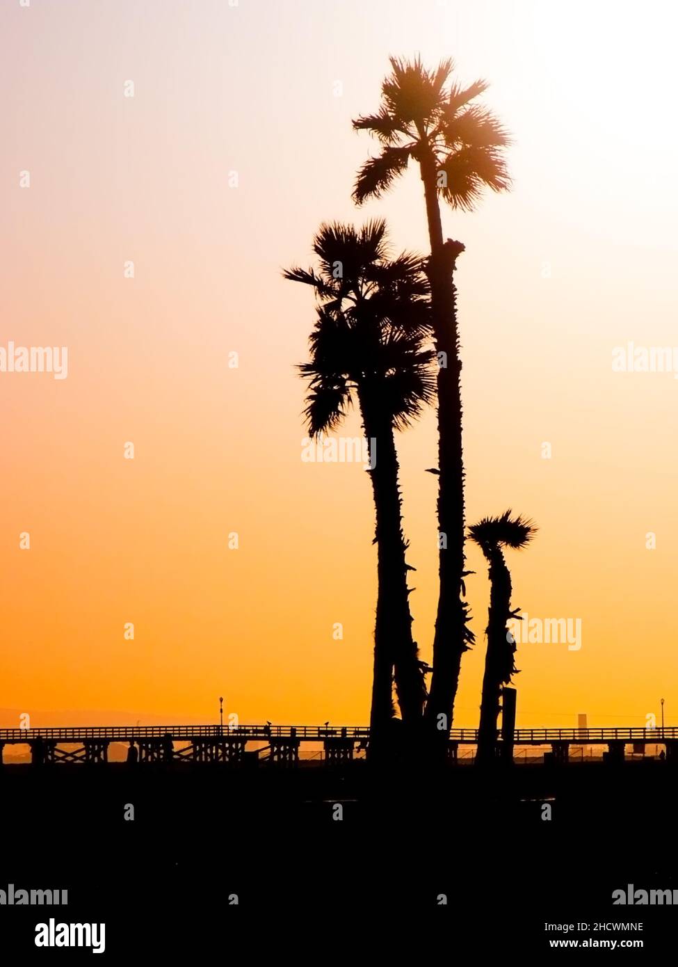Sunset Palm Trees Stock Photo - Alamy