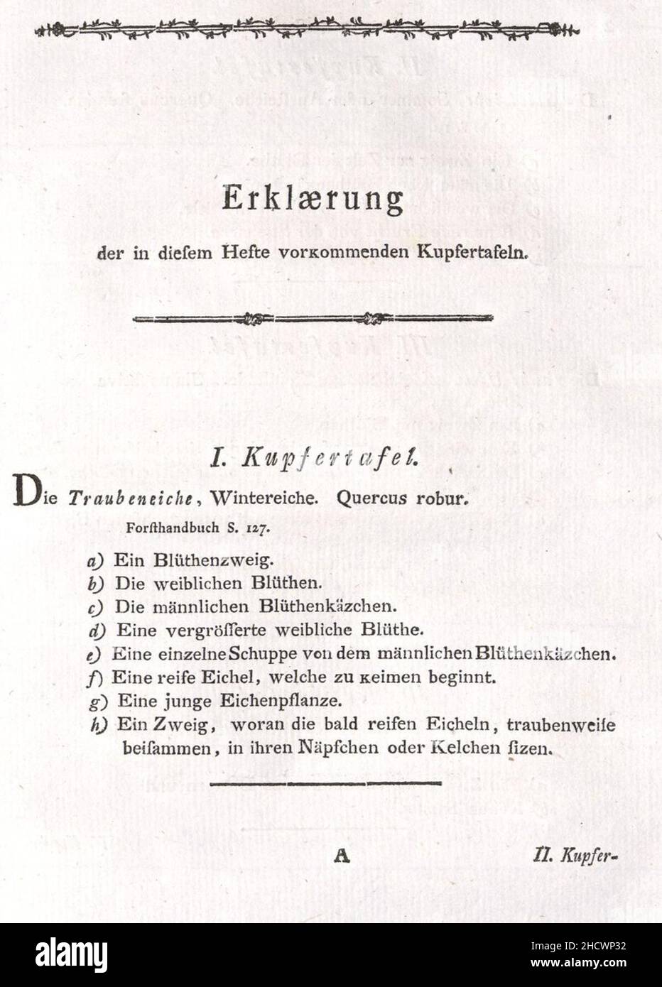 Reitter abel hi-res stock photography and images - Alamy