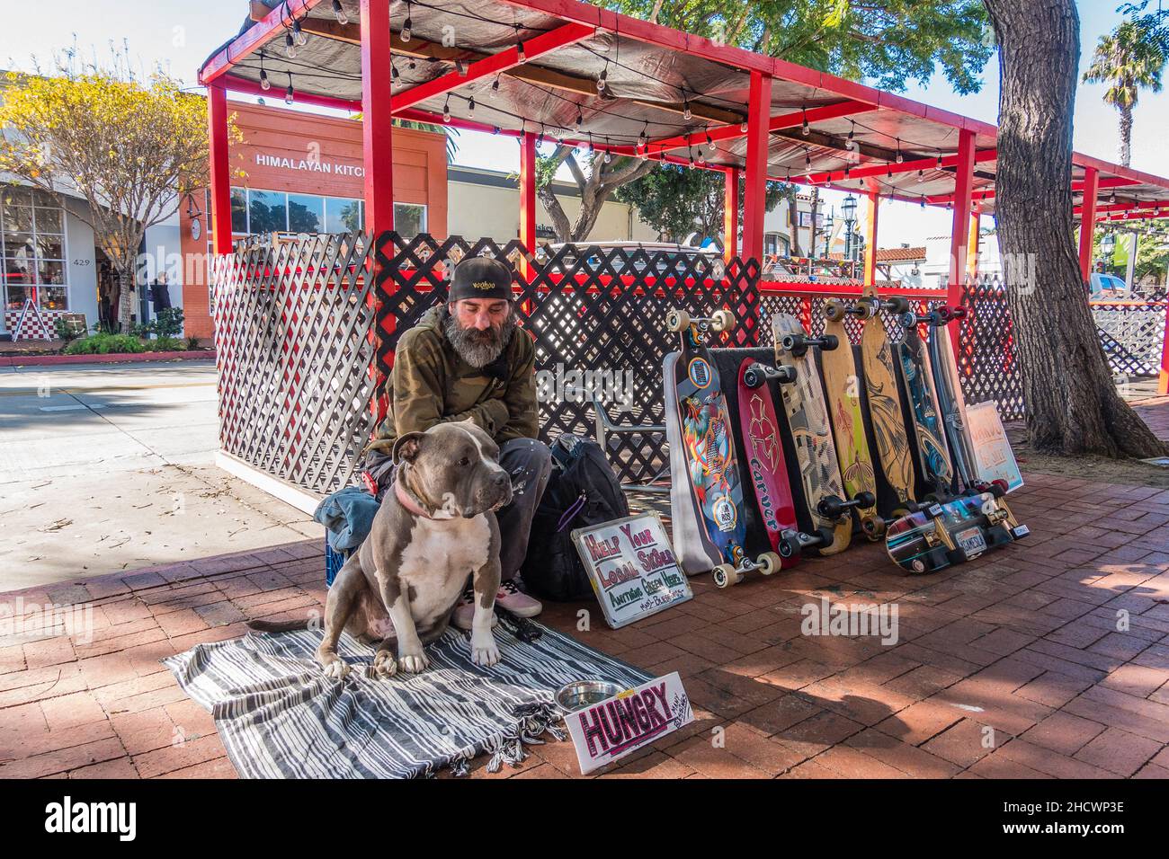 A homeless skateboard man selling skateboards and his pitbull on a ...