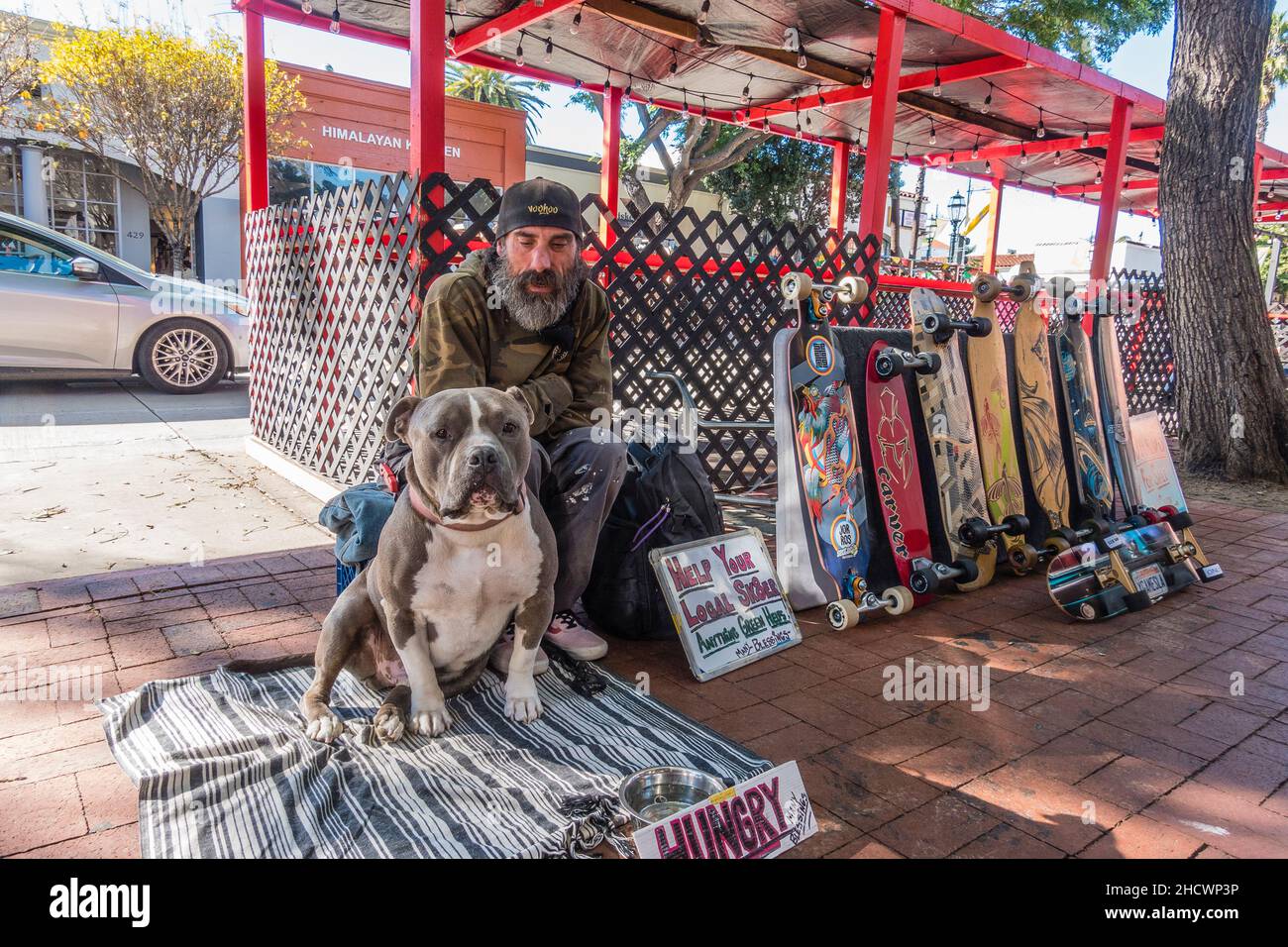A homeless skateboard man selling skateboards and his pitbull on a ...
