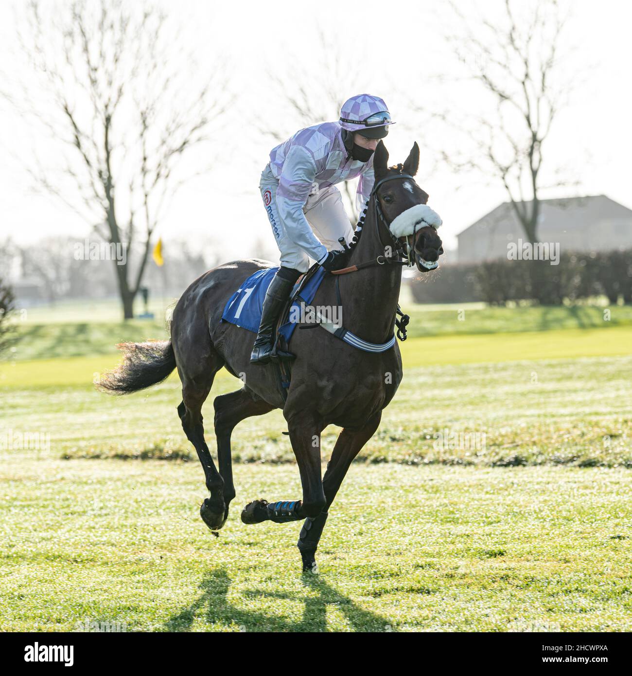 Boxing Day races at Wincanton - Race 1 Stock Photo - Alamy