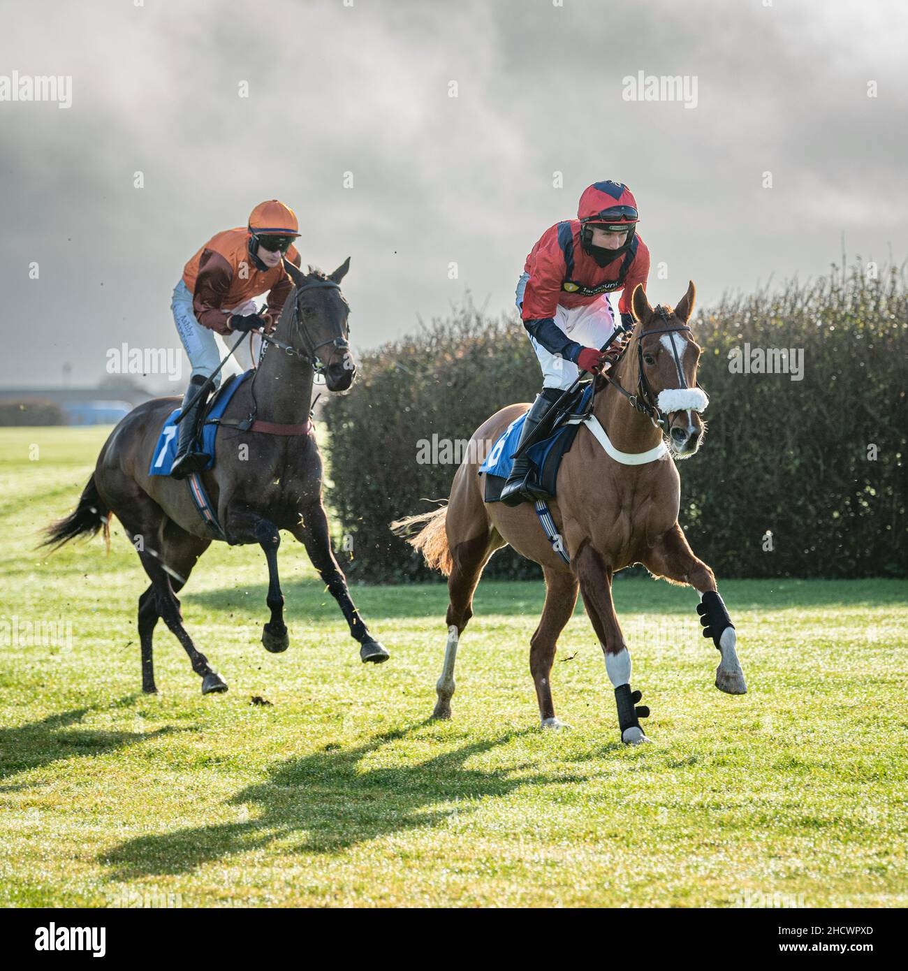 Boxing Day races at Wincanton - Race 1 Stock Photo - Alamy
