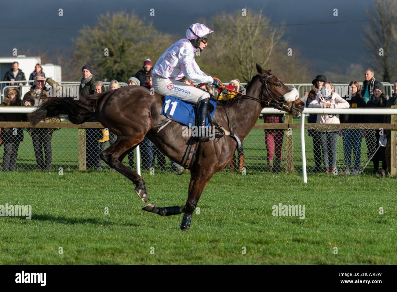Mare racecourse hi-res stock photography and images - Alamy