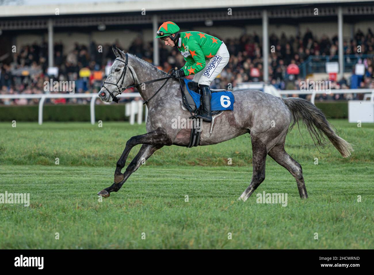 Belle de Manech - winner of second race Stock Photo - Alamy