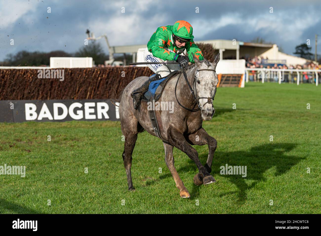 Belle de Manech - winner of second race Stock Photo - Alamy
