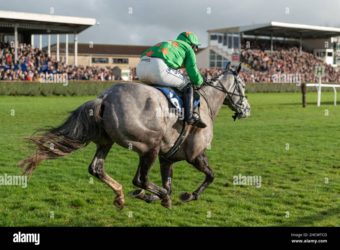 Belle de Manech - winner of second race Stock Photo - Alamy
