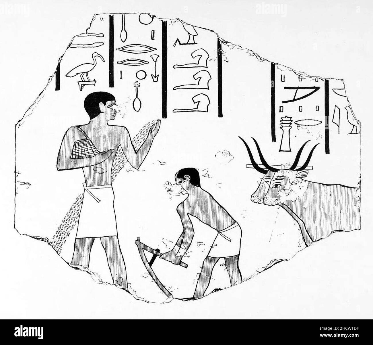 Relief Djehutynakht BM Budge 01 Stock Photo - Alamy
